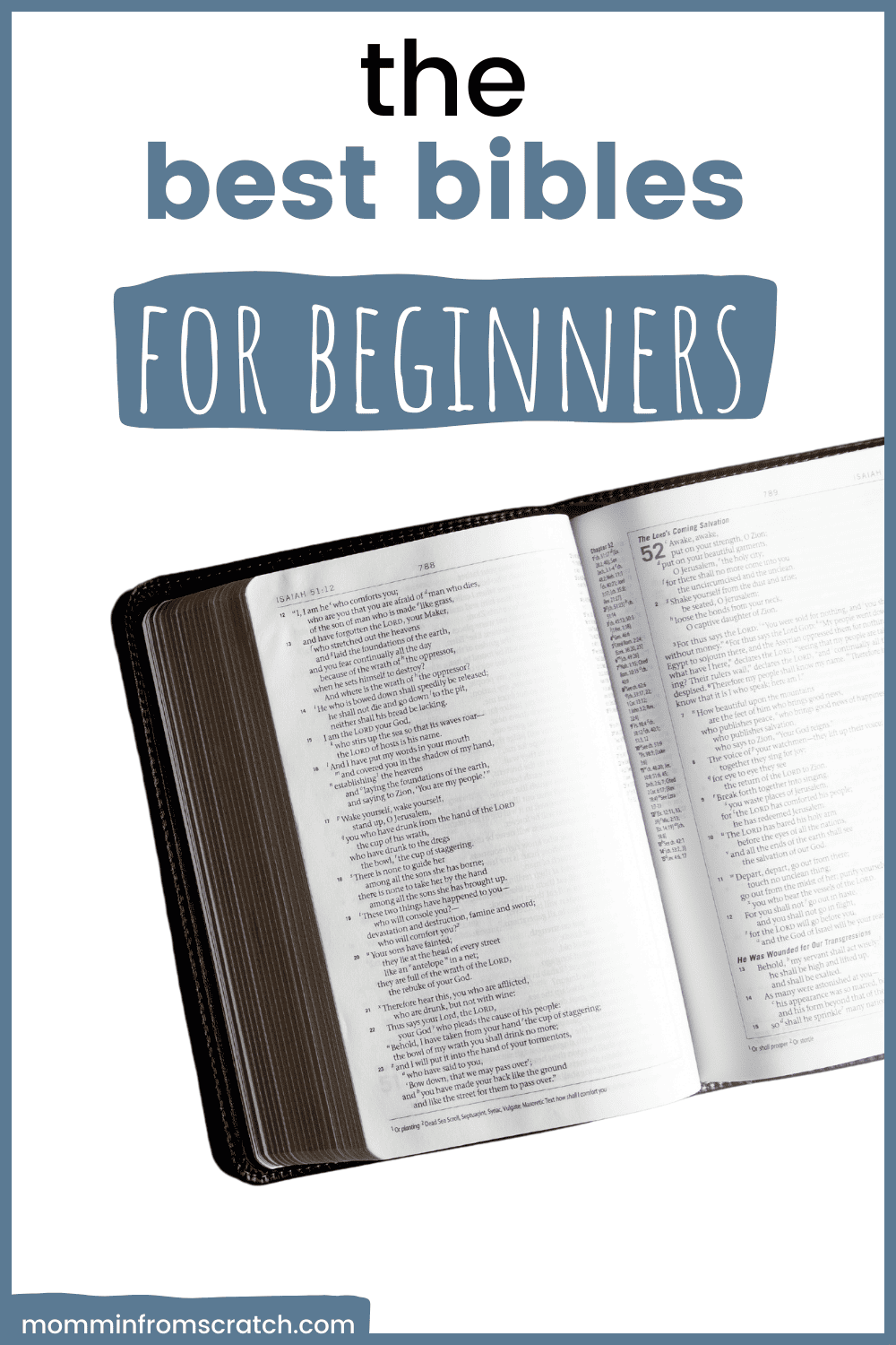 The Best Bible for Beginners the 2025 Easy Bible Buying Guide - Mommin ...